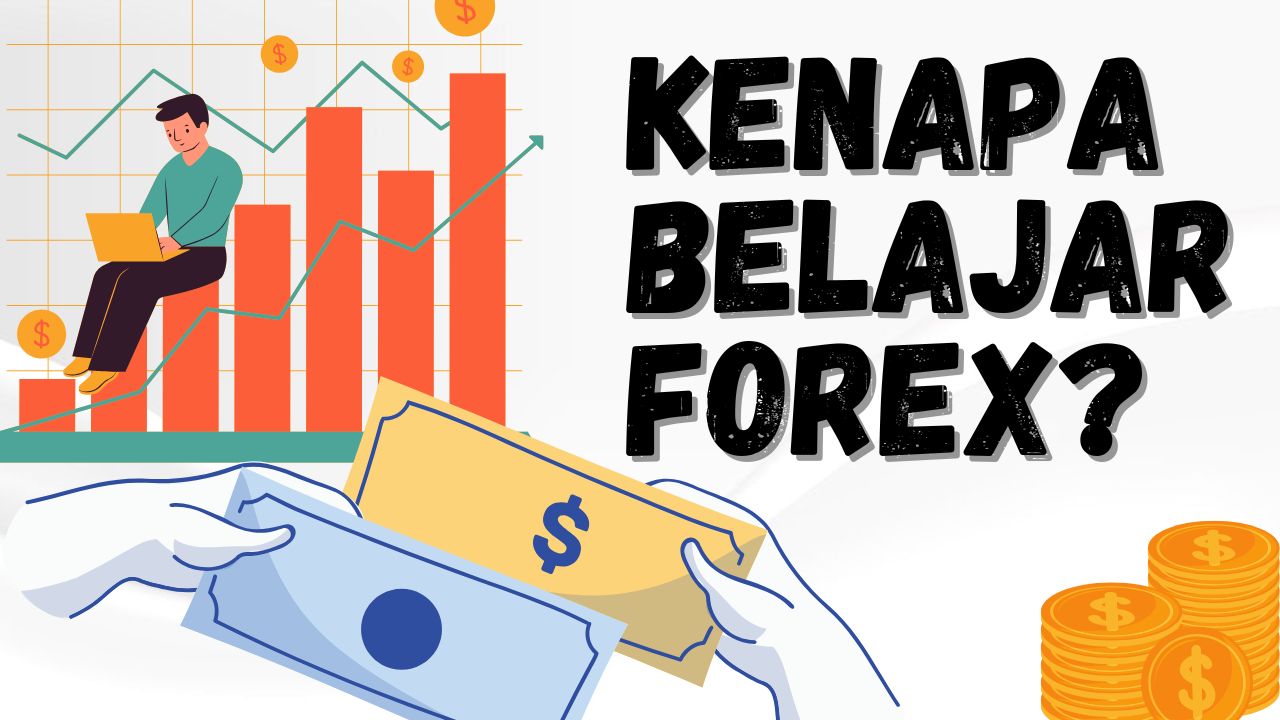 Penting 9 Rahasia Tips Belajar Forex Untuk Pemula Belajar Trading